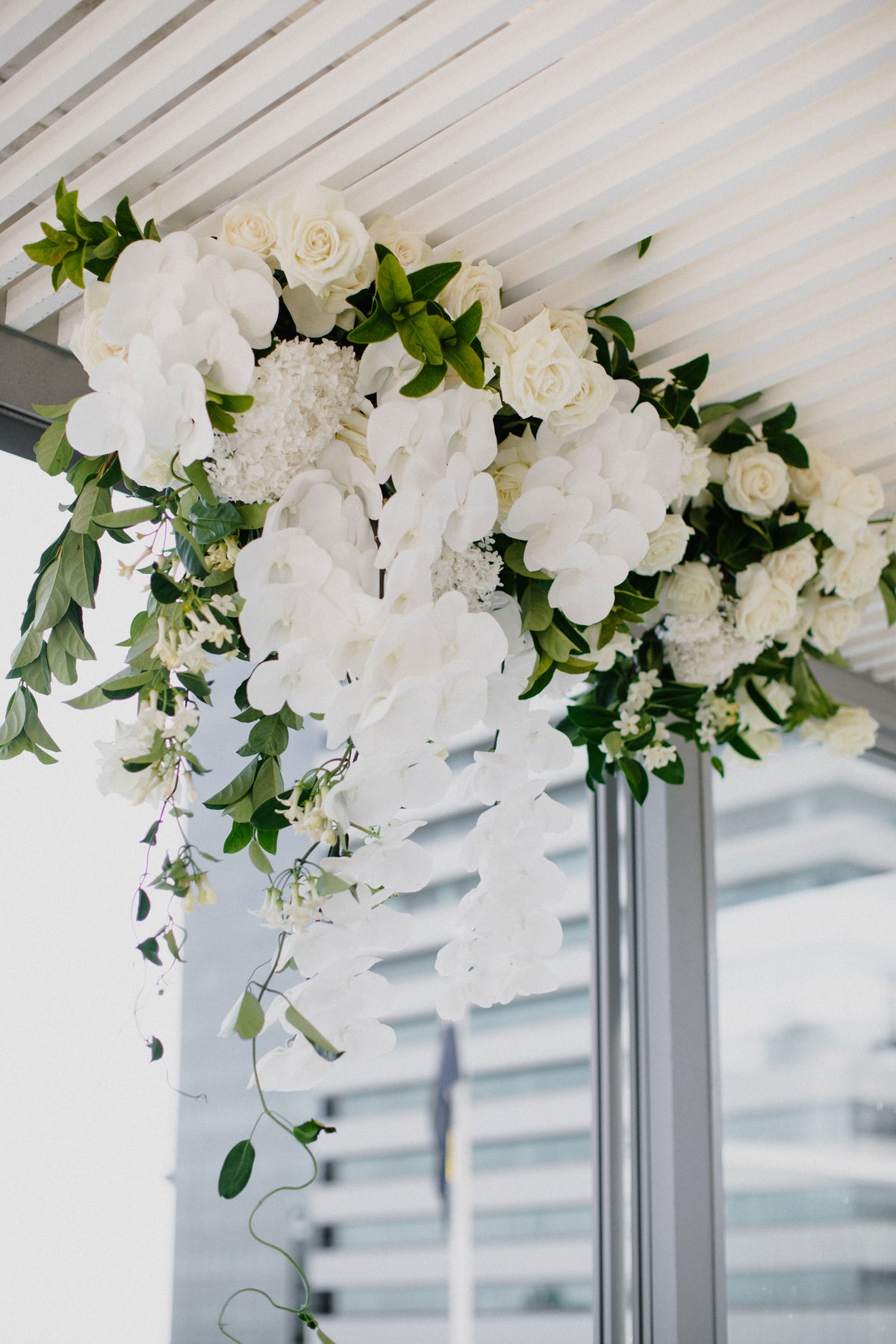 Laura & Jack - Poppys Flowers