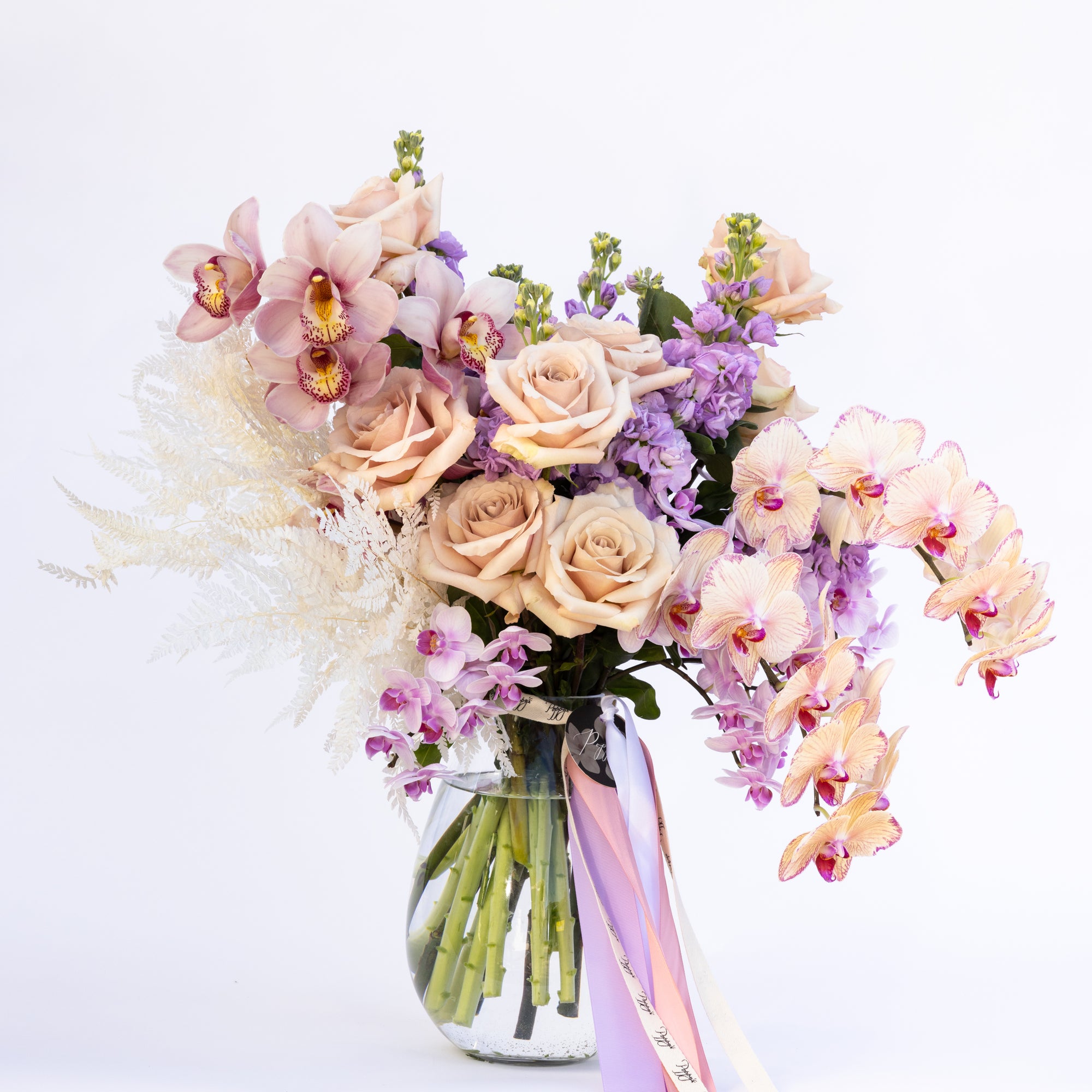 Daily Flowers - Poppys Flowers